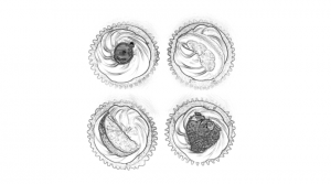 The Ultimate Observational Drawing Idea List for Kids – Do Art Better